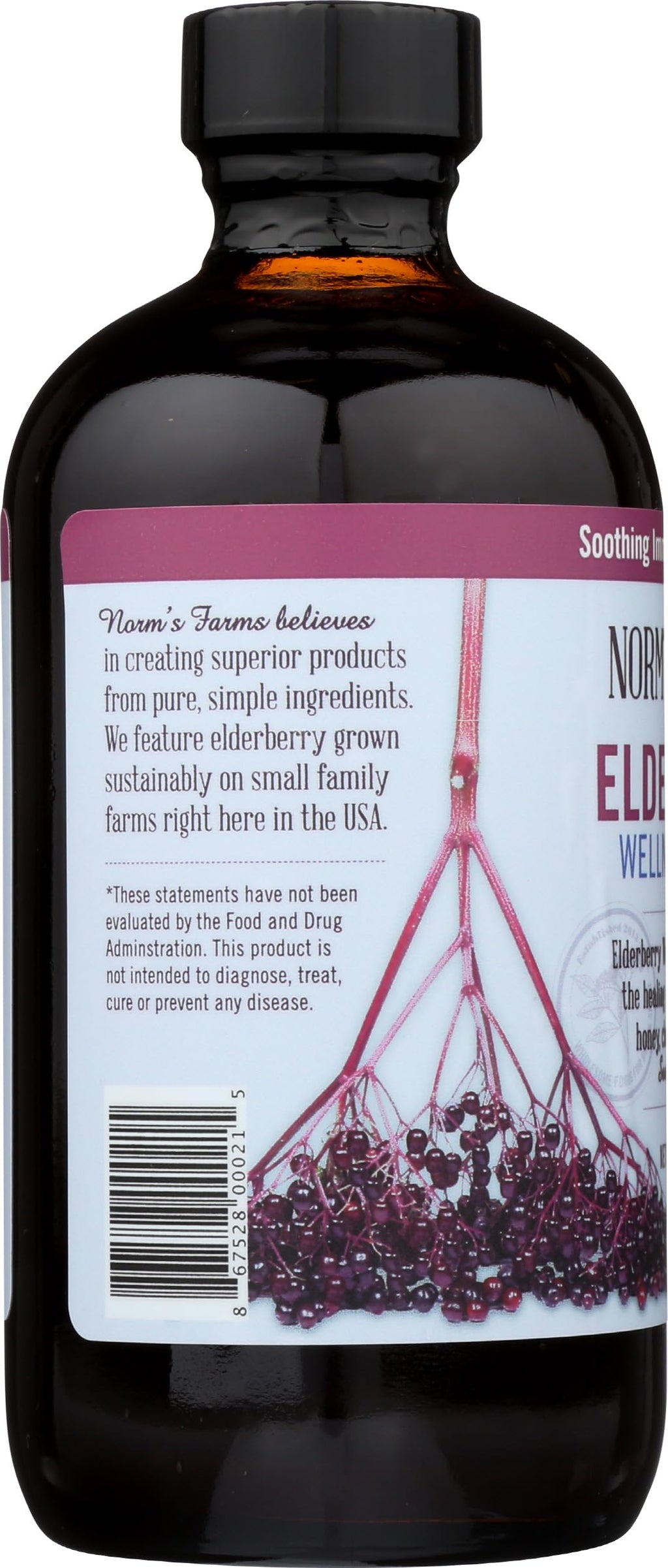 premium elderberry extract for wellness