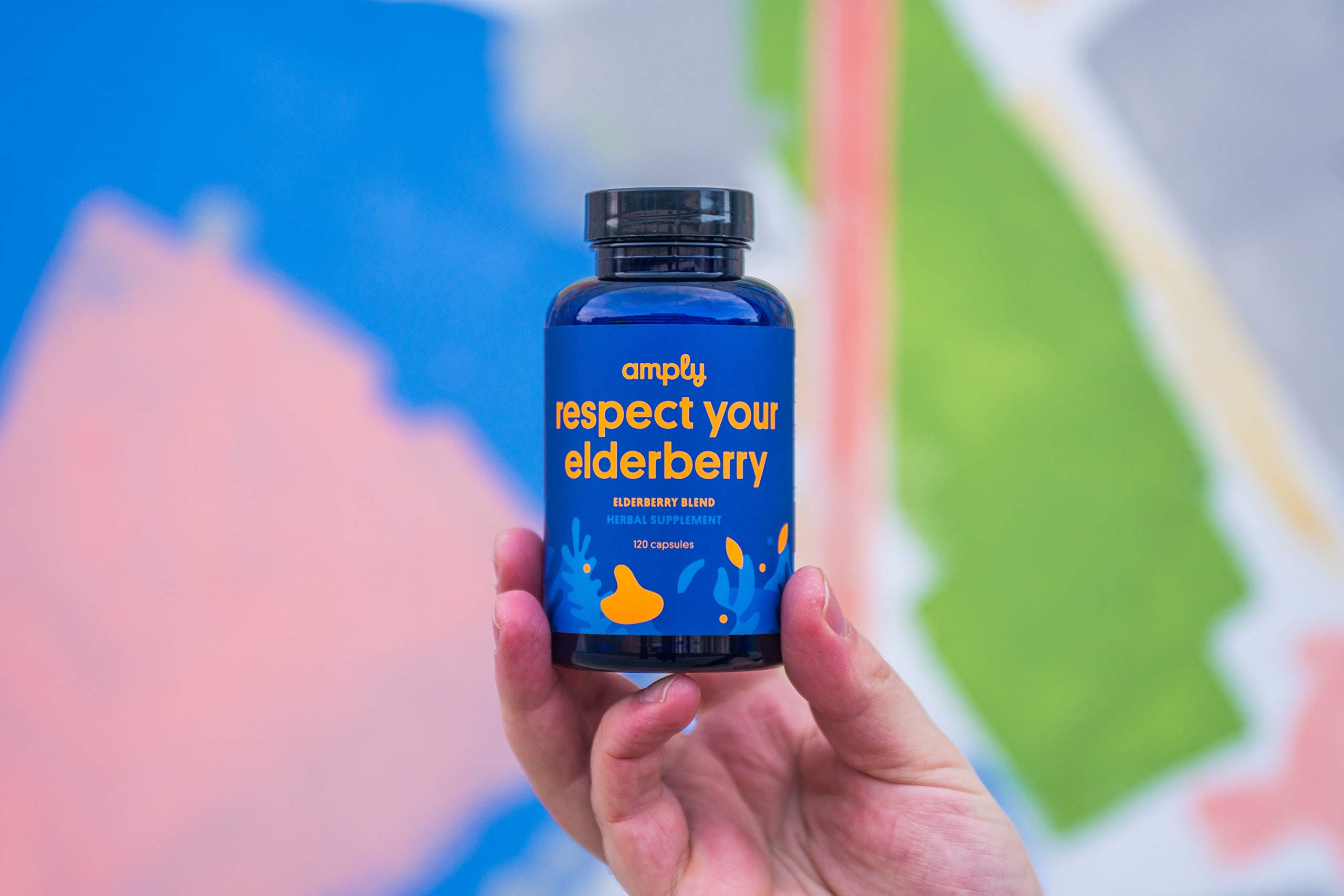 premium elderberry extract in capsules