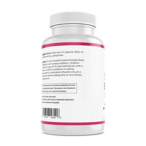 premium elderberry for daily nutrition