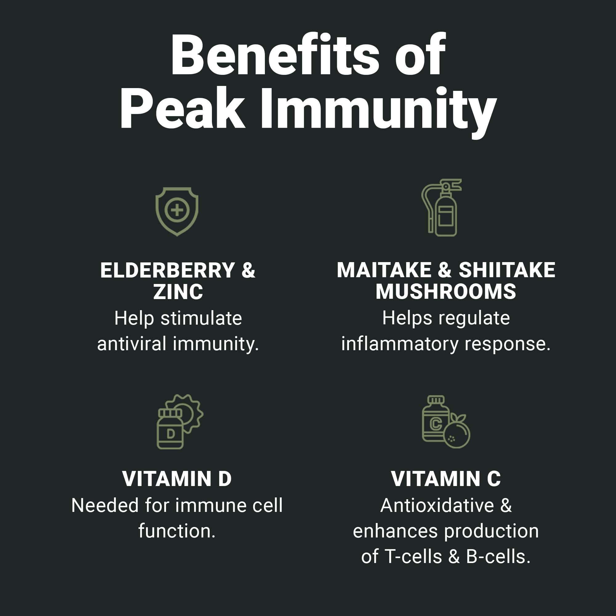 premium elderberry for immune health