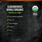 premium elderberry for immune support