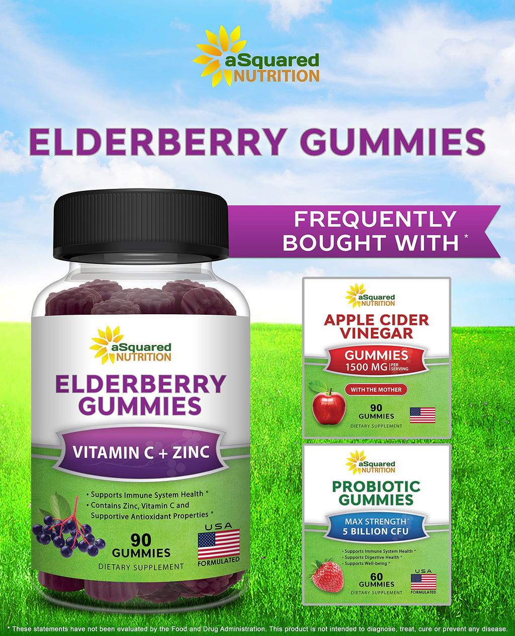 premium elderberry gummies for immune health