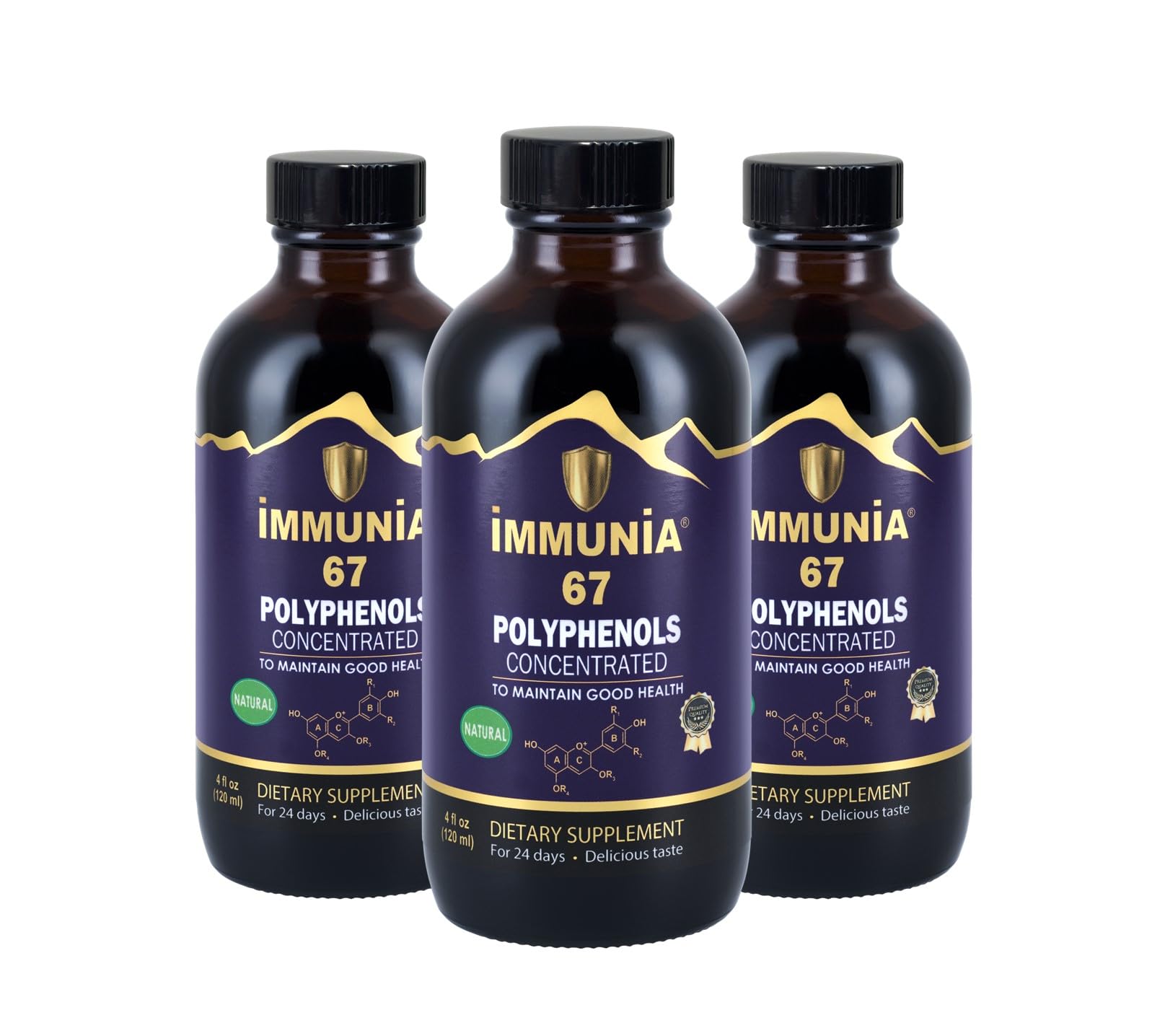 premium elderberry supplement for wellness