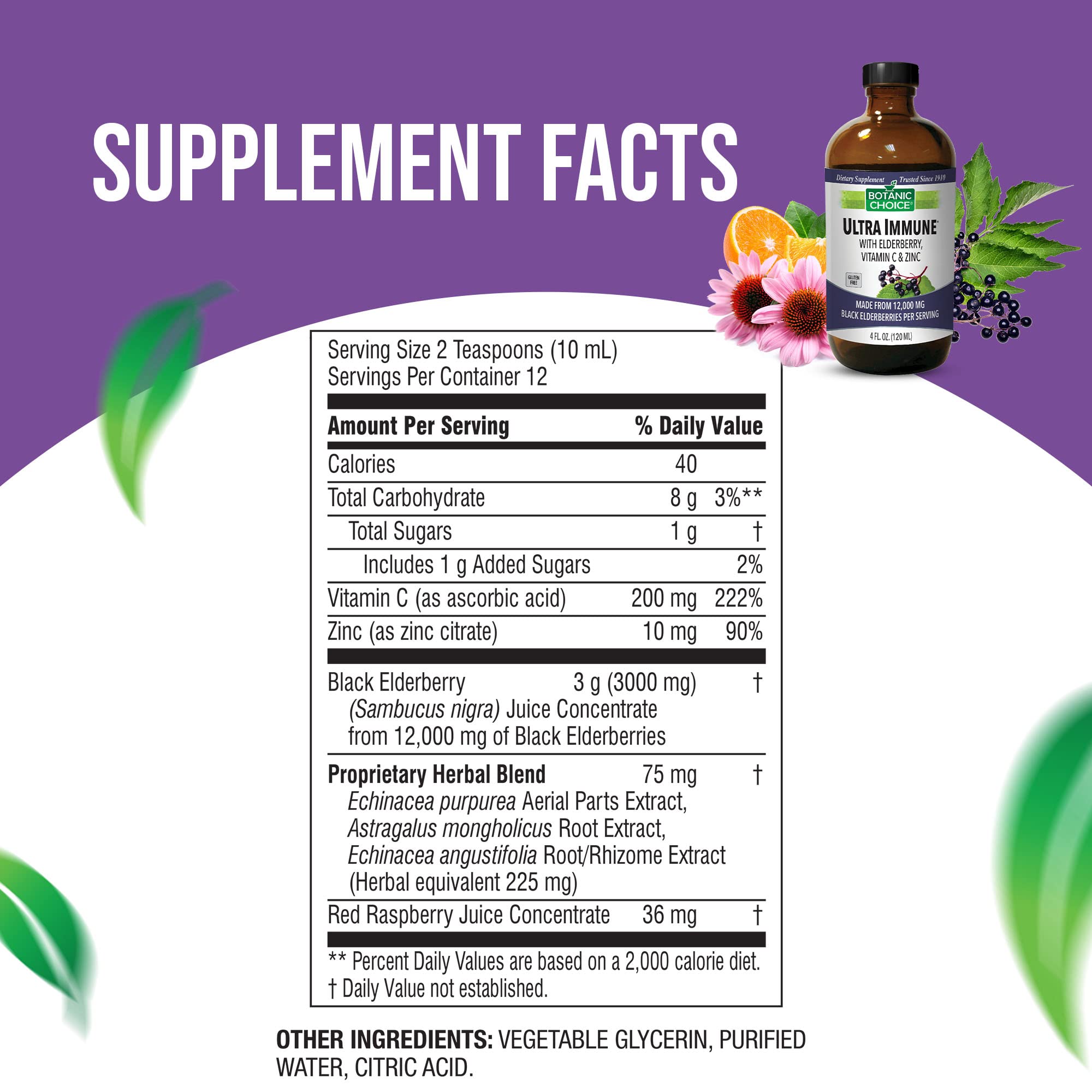 premium elderberry syrup for immune defense
