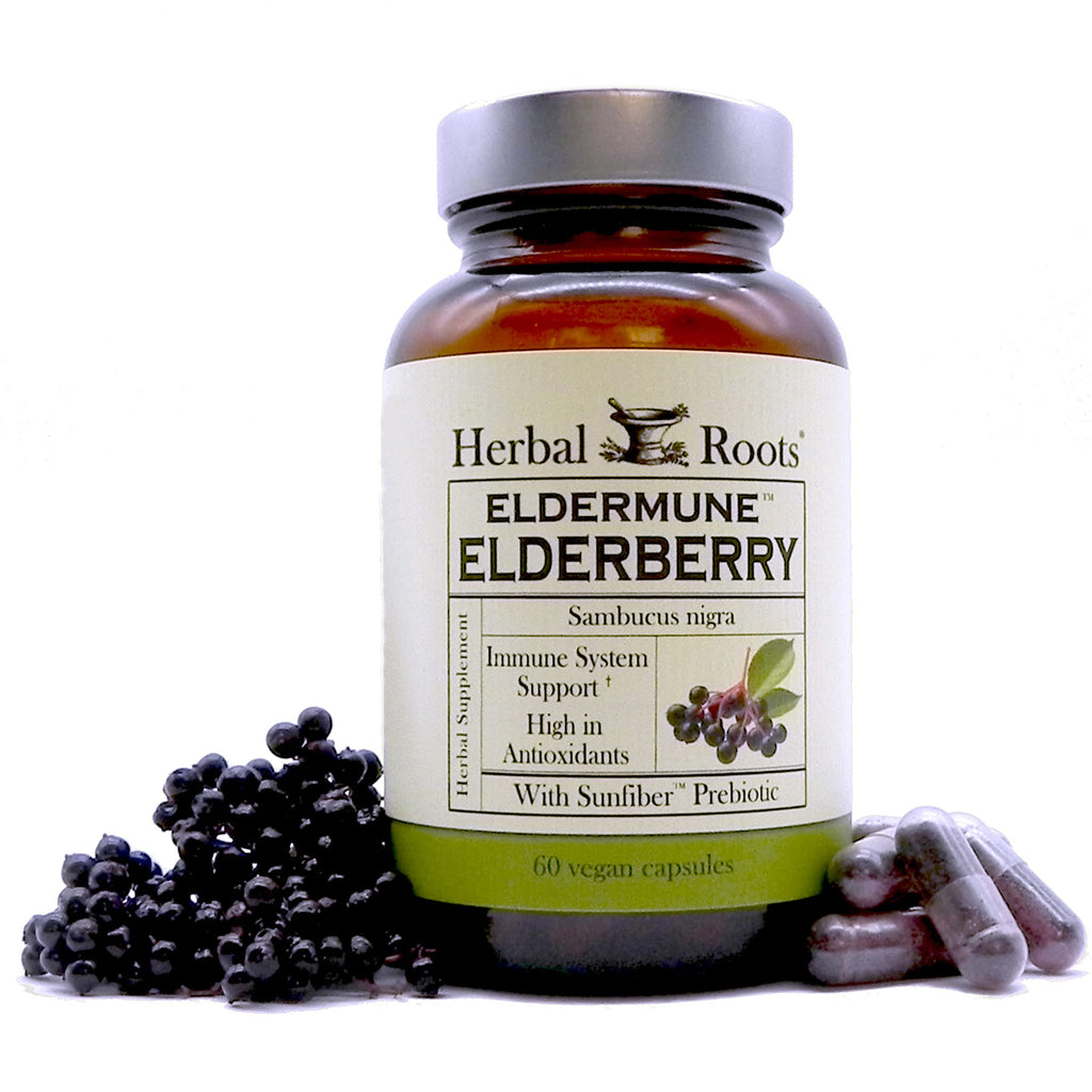 premium elderberry syrup for immunity