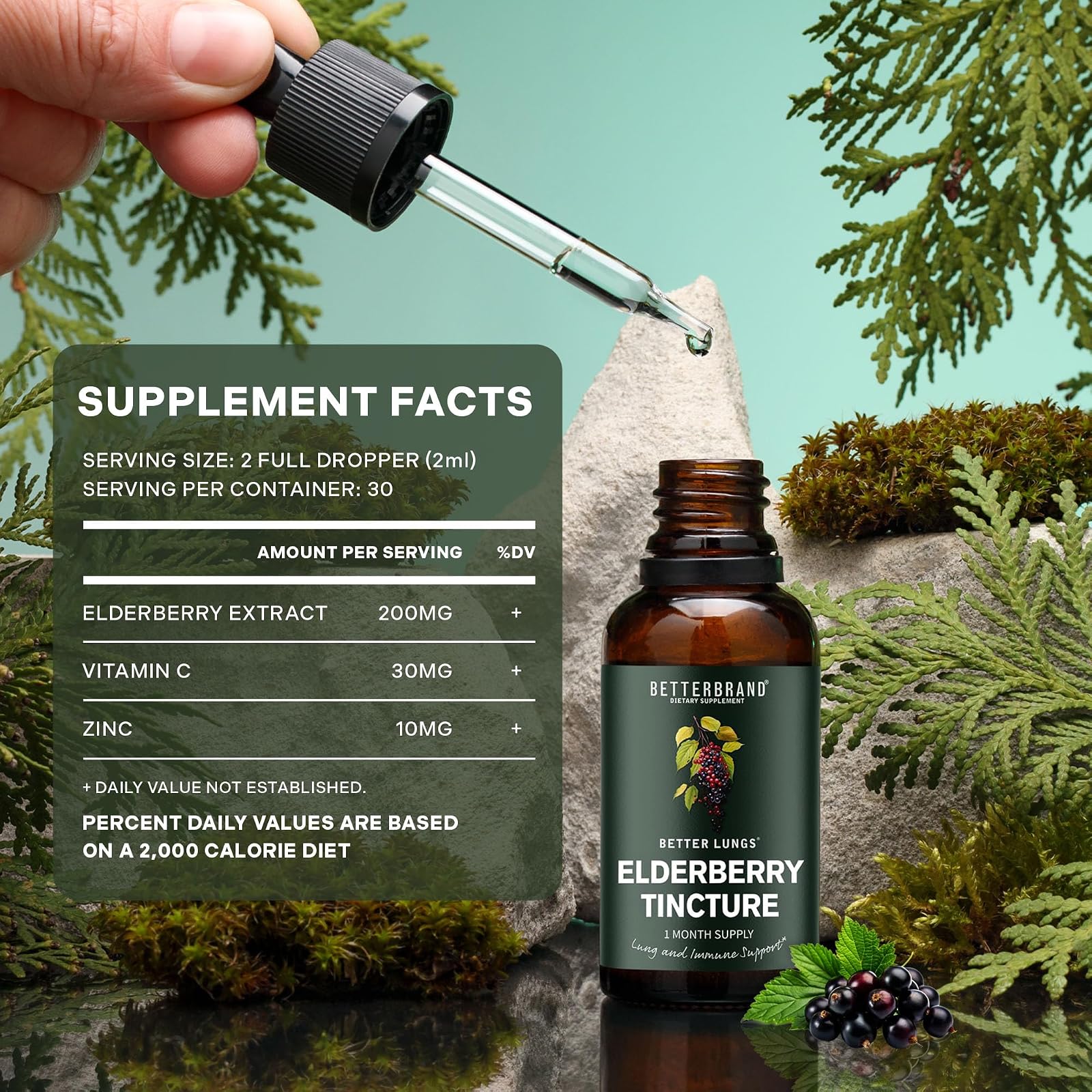 premium elderberry tincture for seasonal support