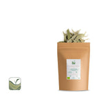 premium eucalyptus leaves for relaxation