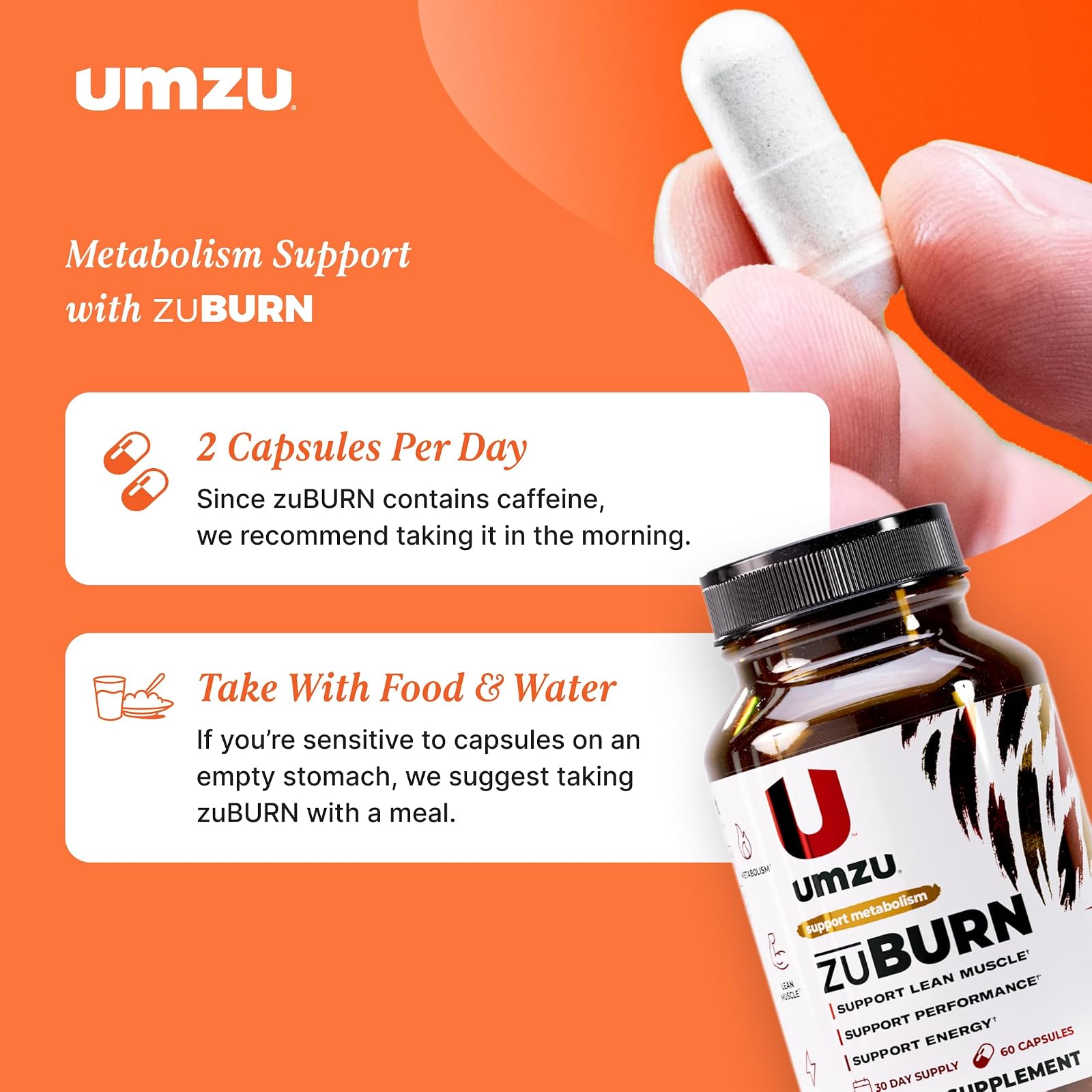 premium fat burners for daily use