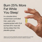 premium fat burners for energy boost