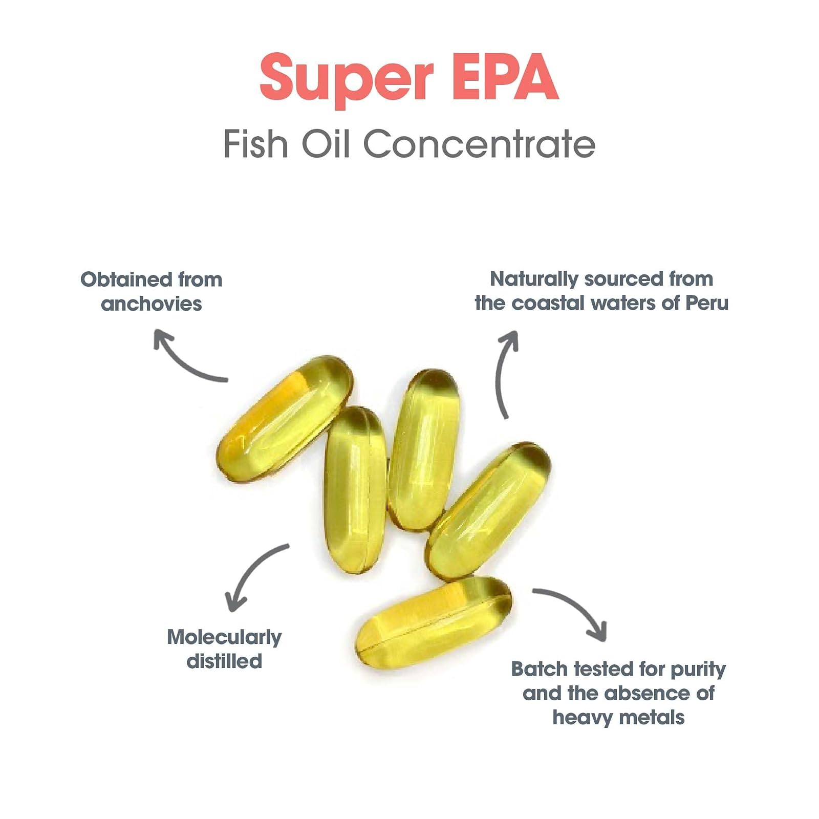 premium fish oil for daily wellness