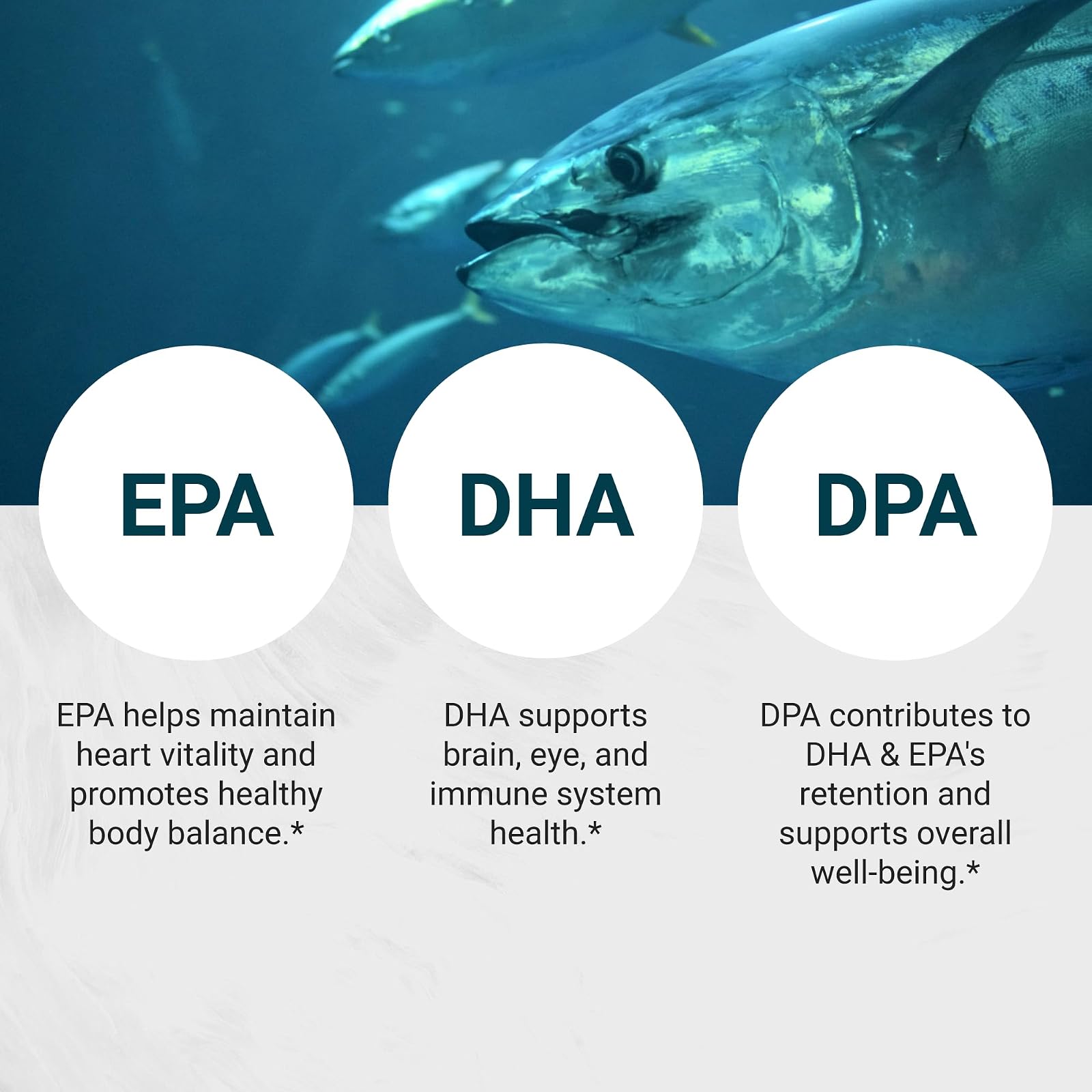 premium fish oil omega 3 supplement