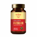 premium fucoidan extract capsules