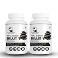 premium fulvic acid shilajit supplement
