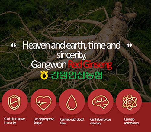 Premium Gangwoninsam red ginseng
