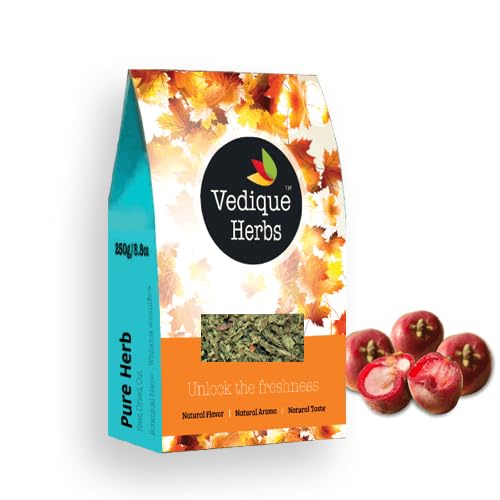 premium garcinia cambogia for weight loss