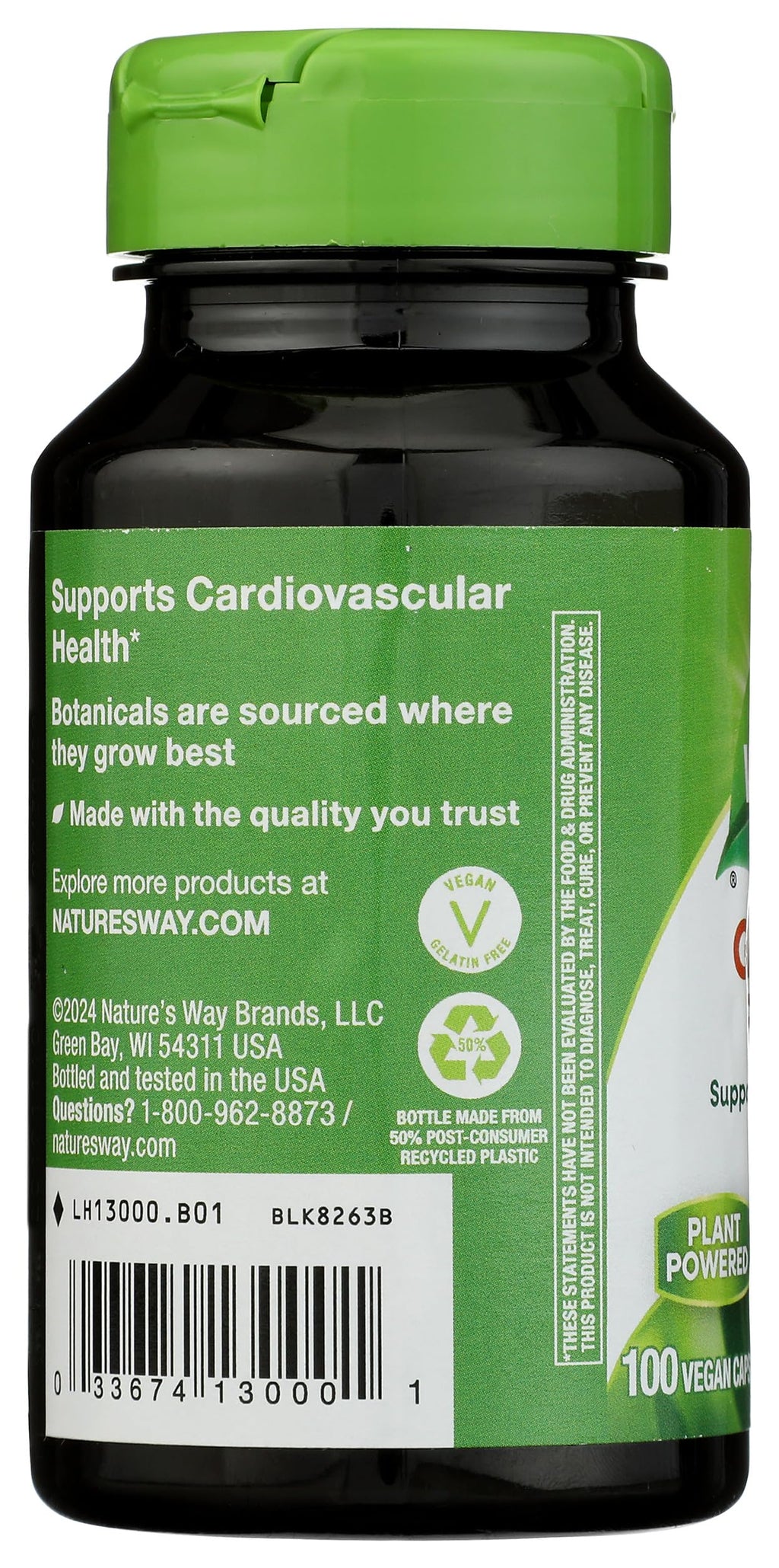 premium garlic capsules for wellness