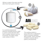 premium garlic capsules for wellness