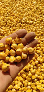 premium garlic for flavour enhancement