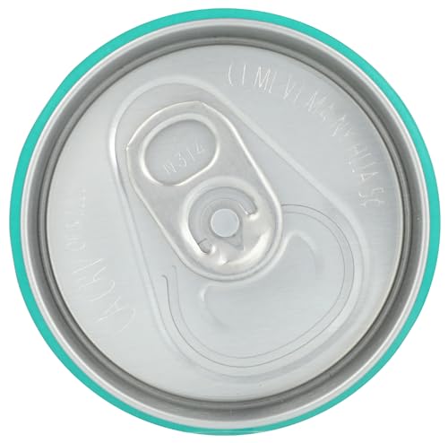 premium ginger ale alternative