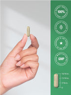 premium ginger root extract for wellness