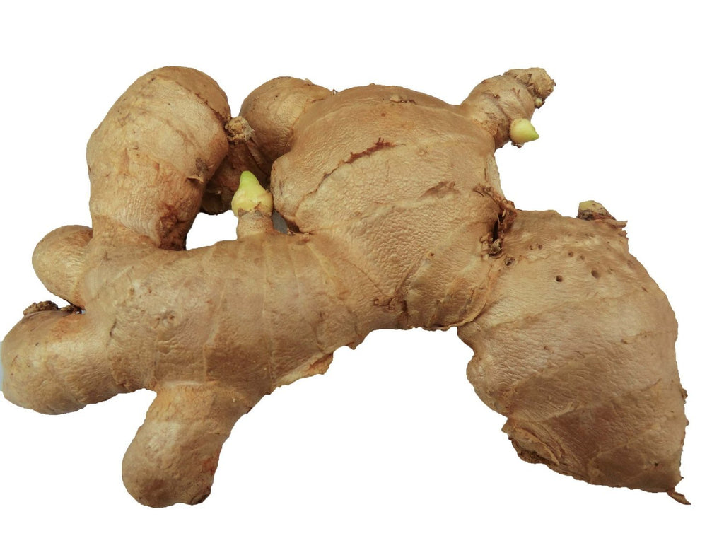 premium ginger root for cooking