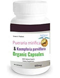 premium ginger supplement for wellness