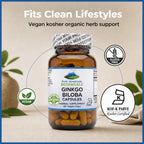premium ginkgo biloba for overall wellness