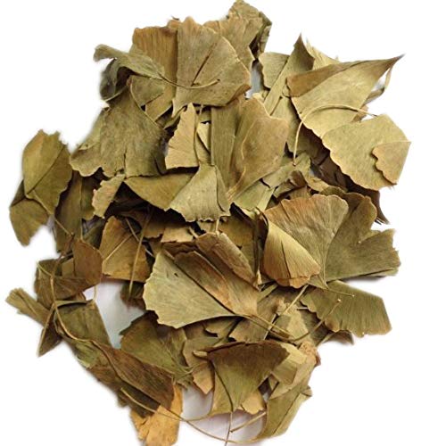 premium ginkgo biloba supplement for memory