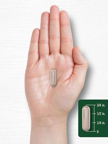 premium ginseng extract for rejuvenation