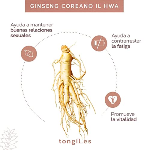premium ginseng extract for wellness
