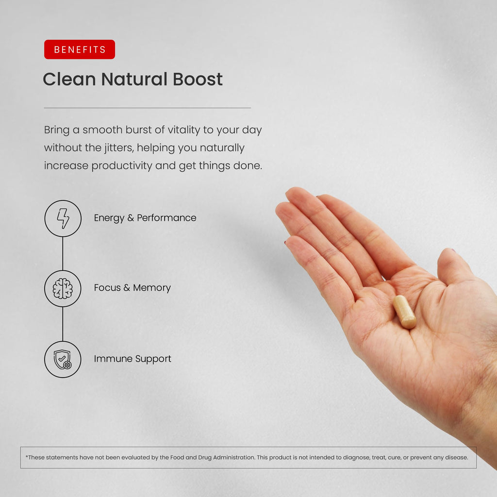 premium ginseng for daily wellness