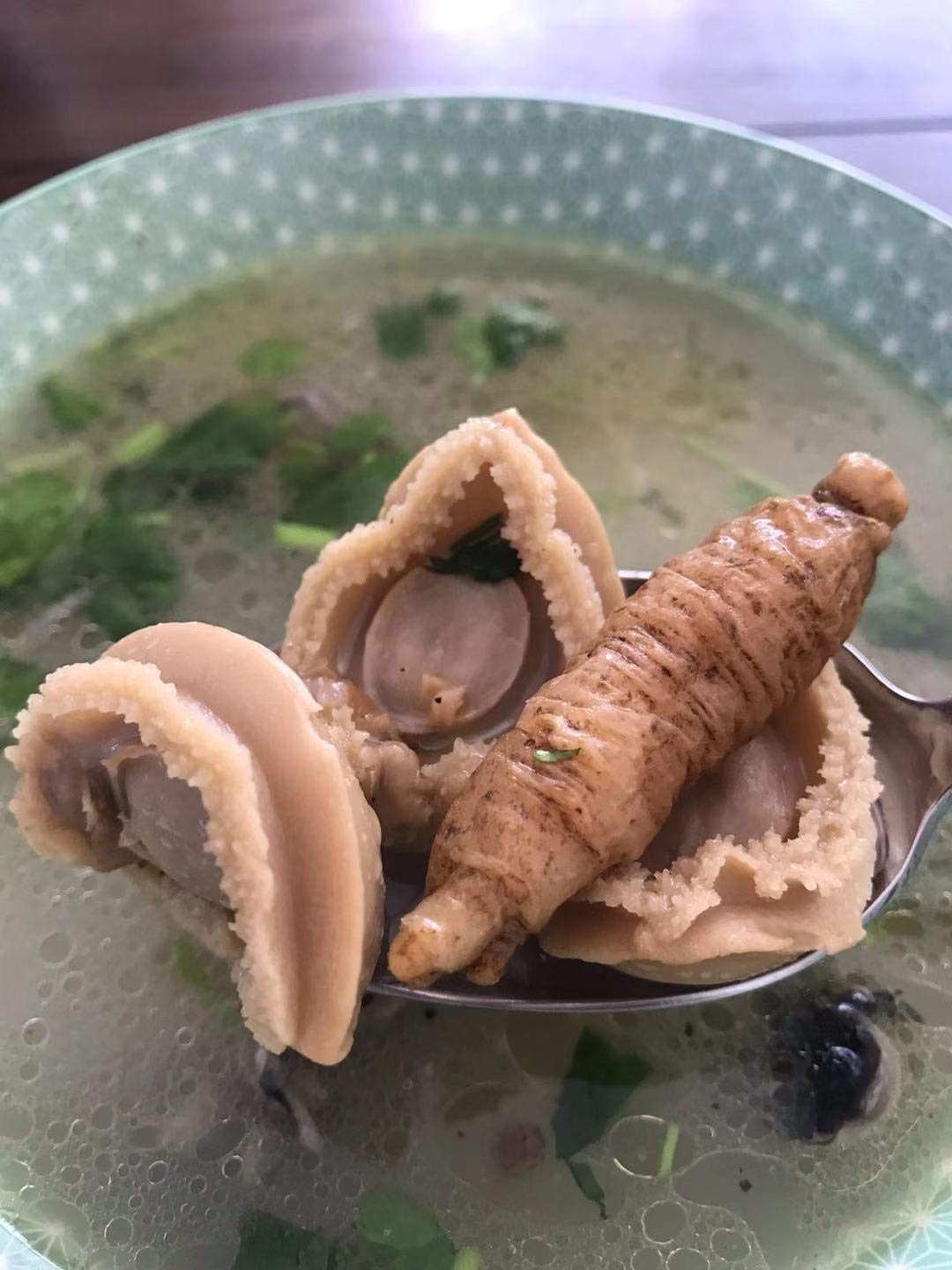 premium ginseng for daily wellness