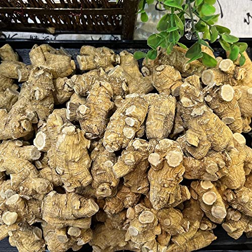 premium ginseng for health