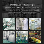 premium ginseng for wellness