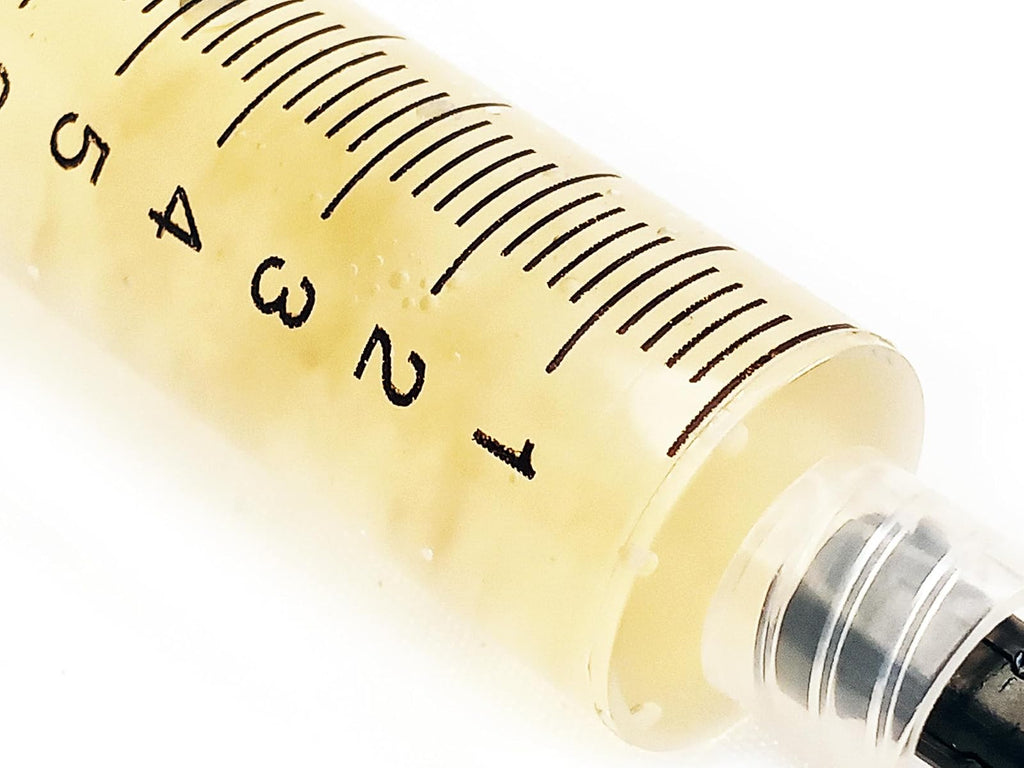 Premium Golden Oyster mushroom culture