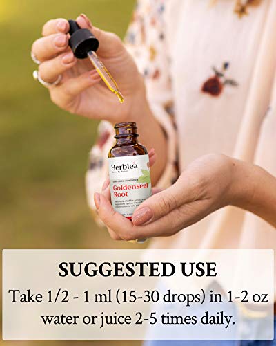 premium goldenseal for daily vitality