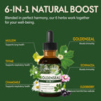 premium goldenseal herbal remedy