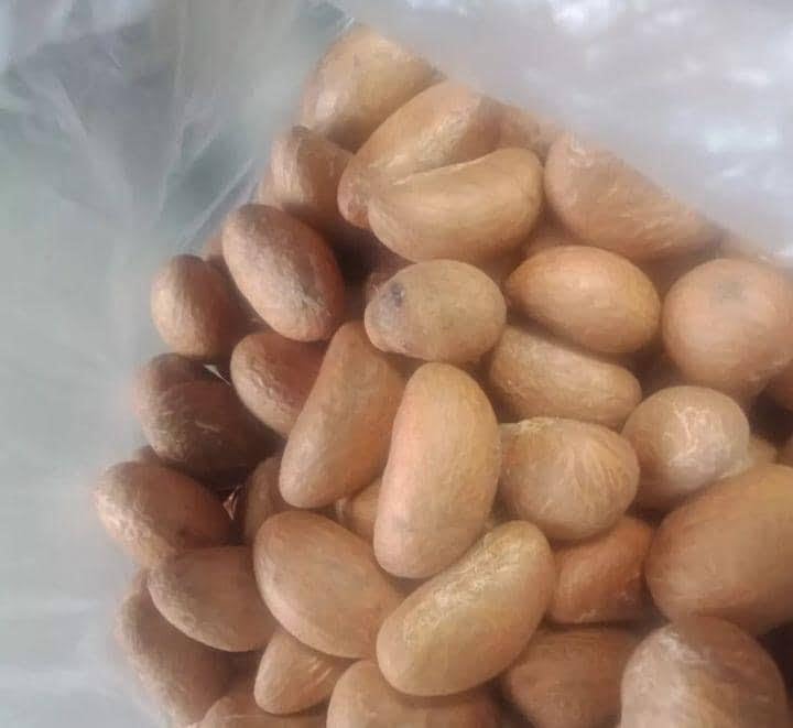premium gotu kola herbal supplement