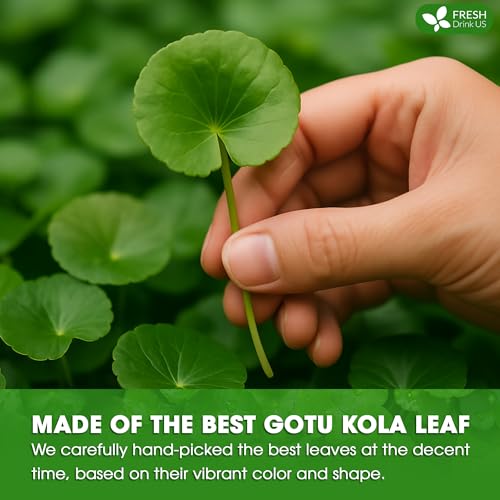 premium Gotu Kola tea for wellness