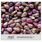 premium grape seed extract for wellness