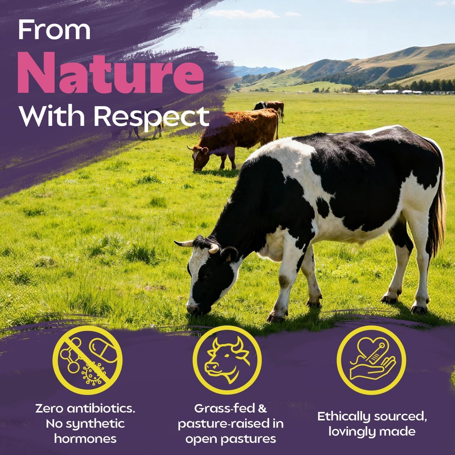 premium grass fed liver extract