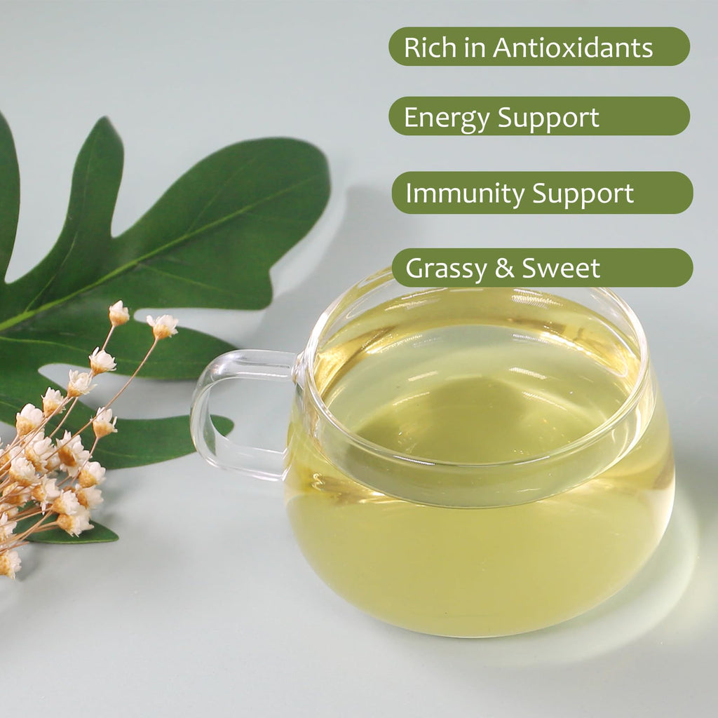 premium green tea extract alternative