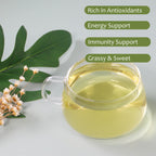 premium green tea extract alternative