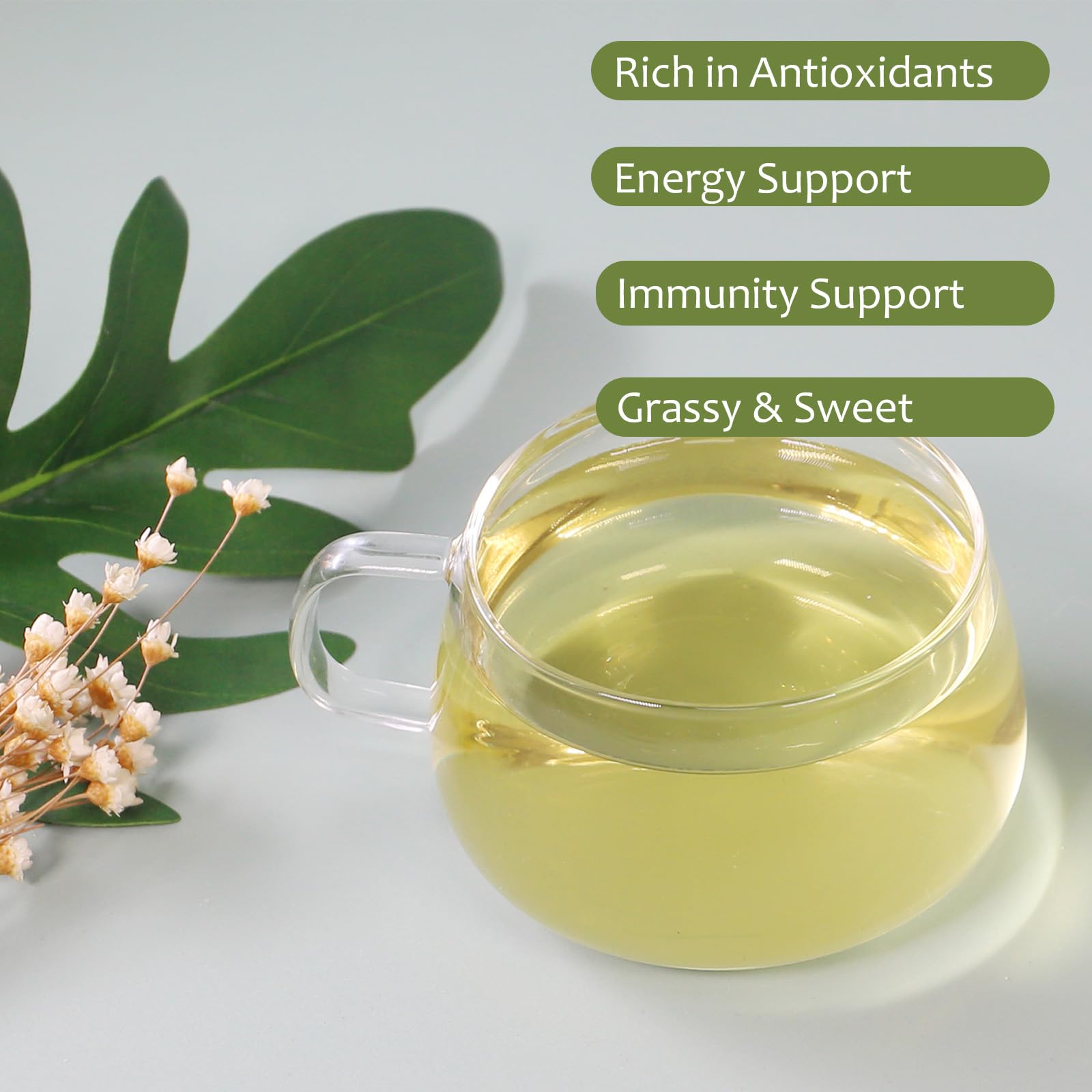 premium green tea extract alternative