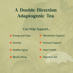 Premium green tea extract bags