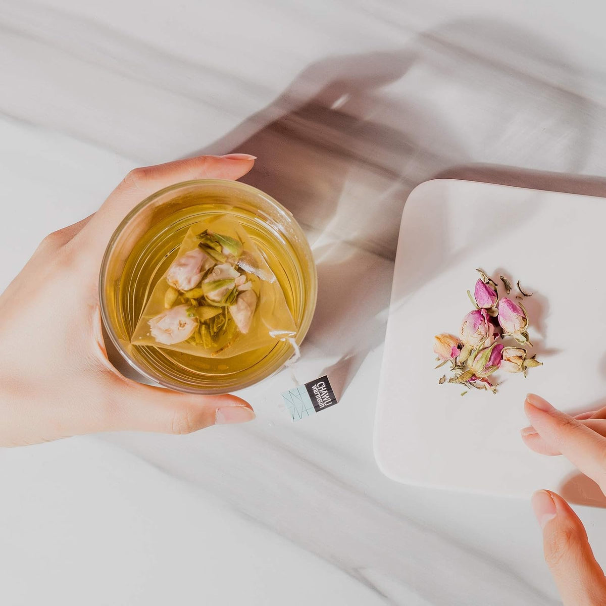 premium green tea extract bags
