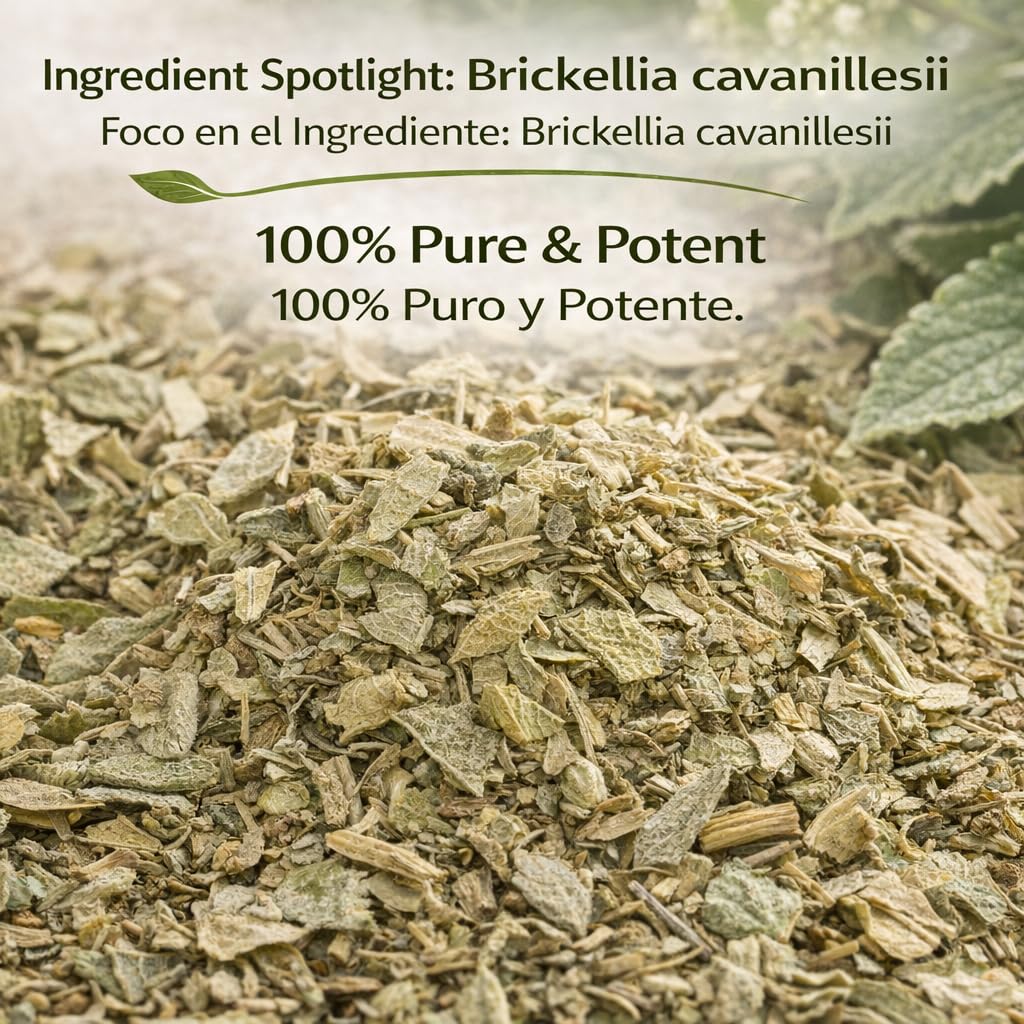 premium green tea extract benefits
