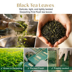 premium green tea extract from darjeeling
