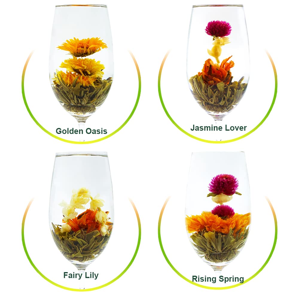 premium green tea extract infusion