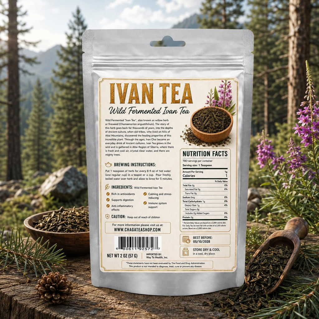 Premium green tea extract infusion